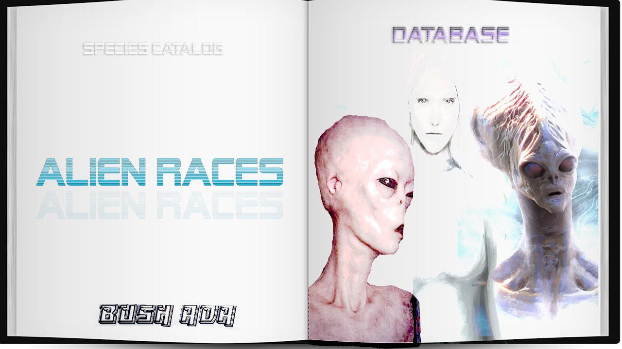 The Russian Alien Log Book - YouTube