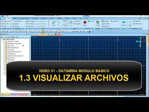 Curso Basico Datamine RM: Entorno y Vizualizar Archivos - YouTube