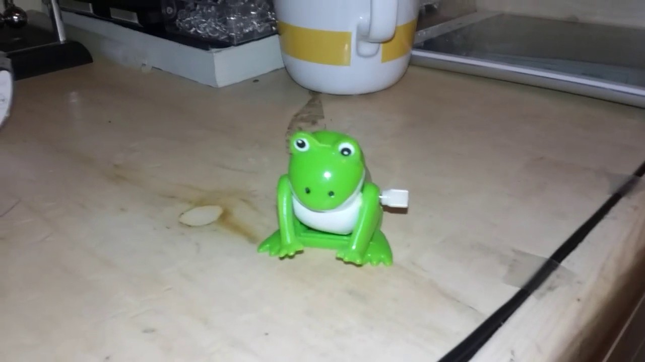 Frog does a backflip - YouTube