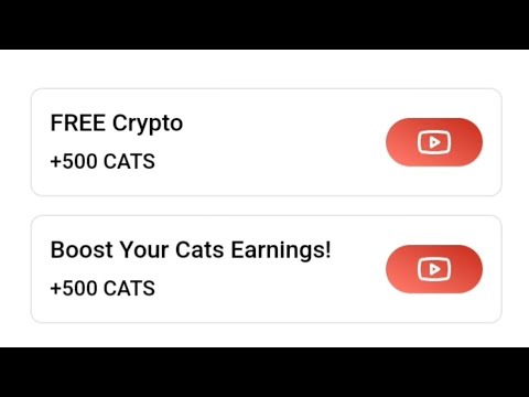 Free crypto cats New video code for cats Airdrop...#catsairdrop #catscode #airdrop - YouTube