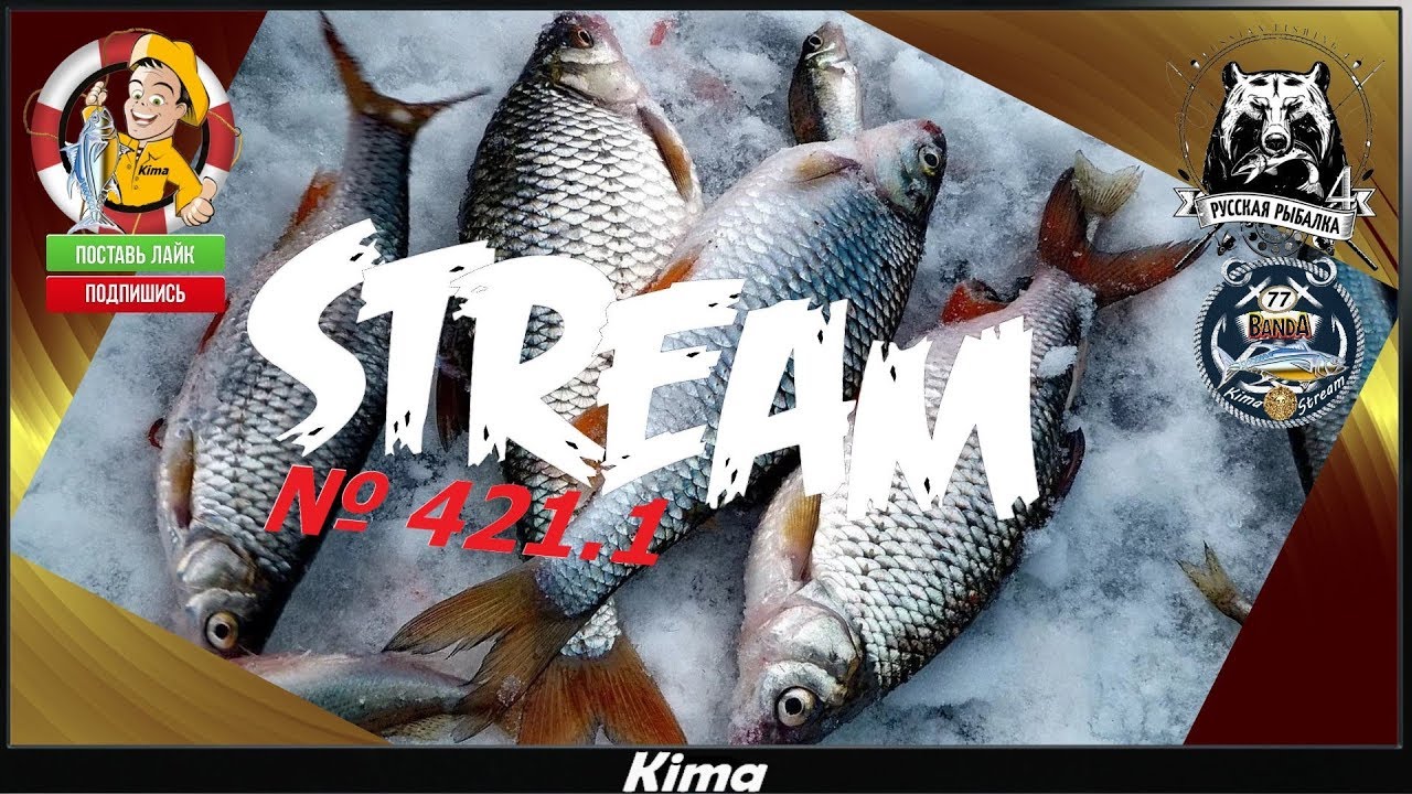 ️Russian Fishing 4 - №421.1 "ВСЕМ КЛЁВА И ТРОФА!!!" Kima STREAM ...