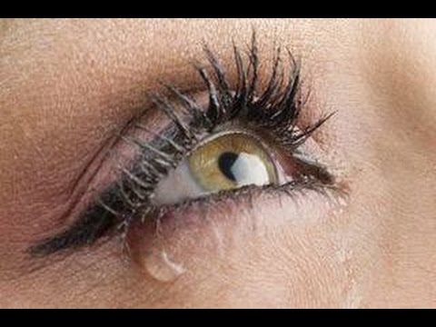 zeng ucun mahnilar 2017