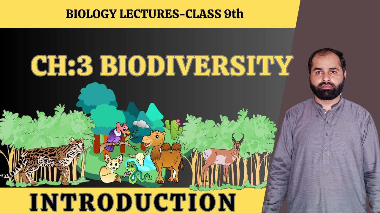 Biodiversity Class 9|Definition of Biodiversity in Class 9th|Biodiversity @ChemistryPlusOfficial ...