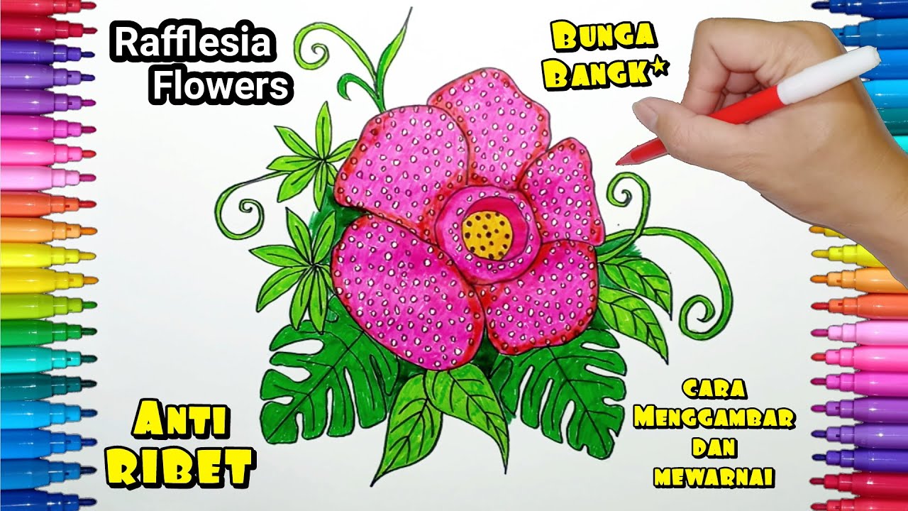 ANTI RIBET! CARA MENGGAMBAR & MEWARNAI BUNGA RAFFLESIA MUDAH | HOW TO ...