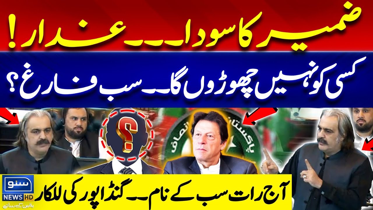 Constitutional Amendment - Vote Against Party Policy - Ali Ameen ...