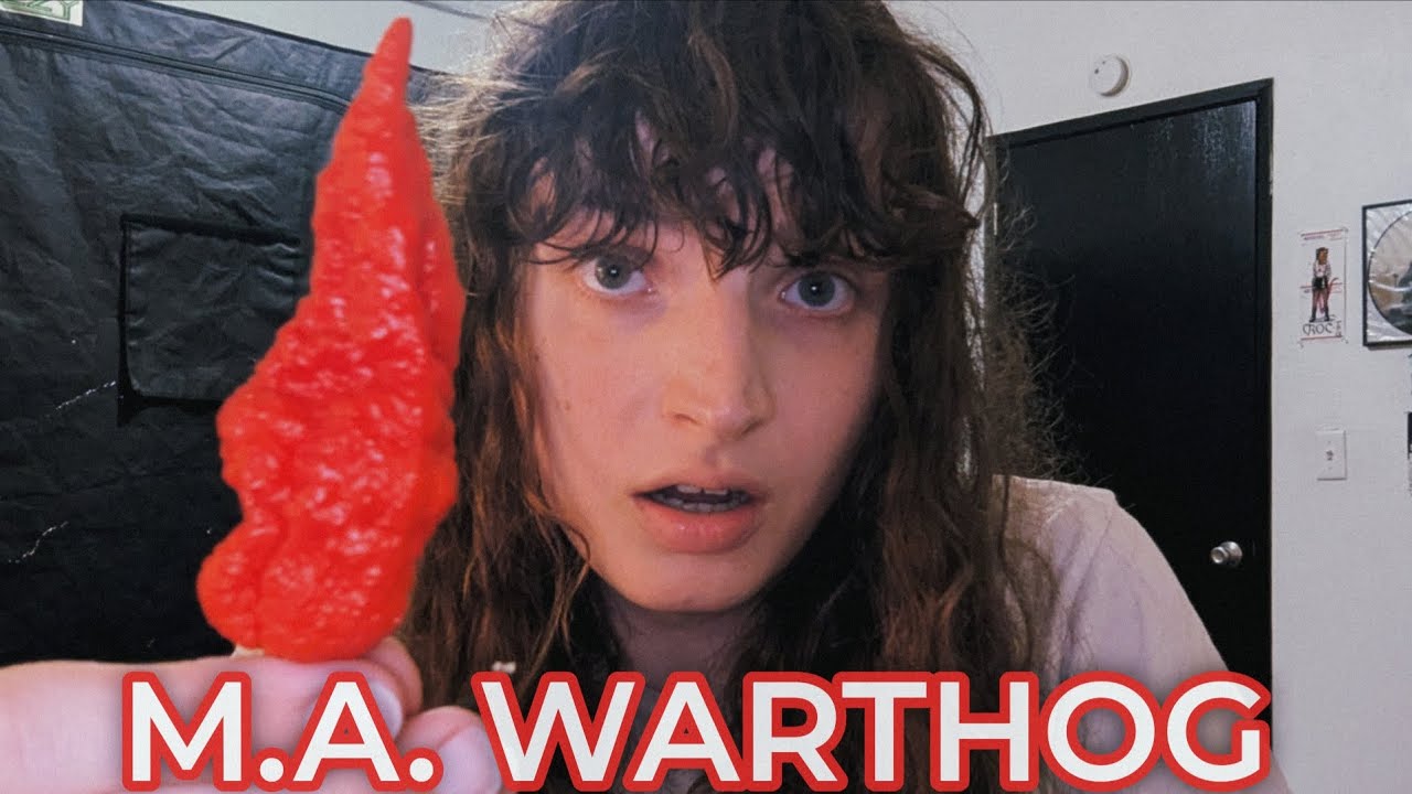 RED M.A. WARTHOG PEPPER FROM HELLFIRE FARMS POD REVIEW - YouTube