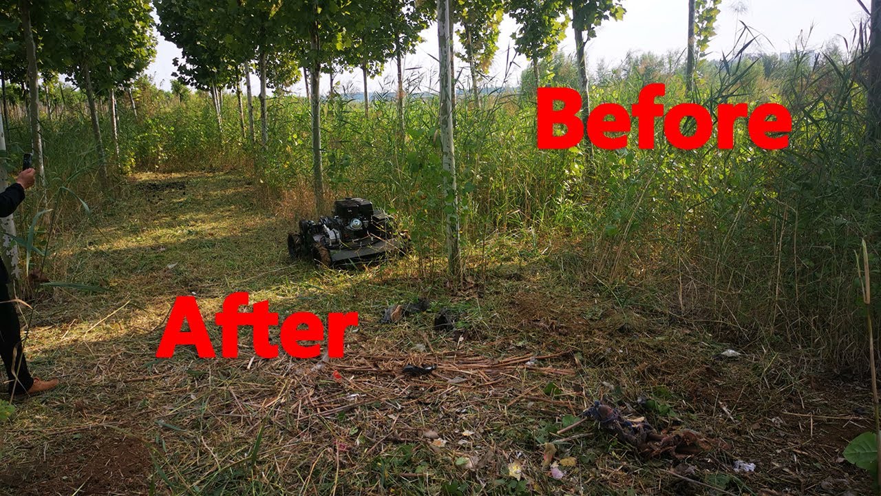 Beast 800 Remote Control Flail Lawn Mower Radio Controlled Grass Cutter ...