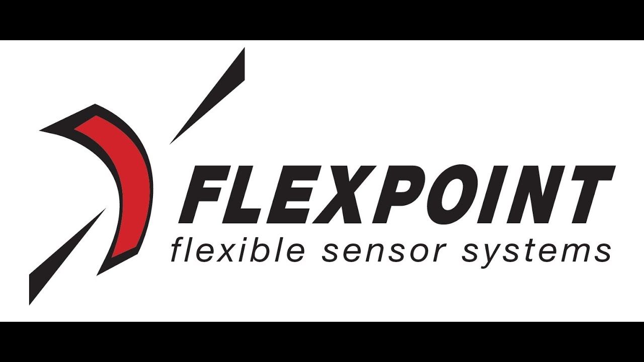 Flexpoint Company Overview - YouTube