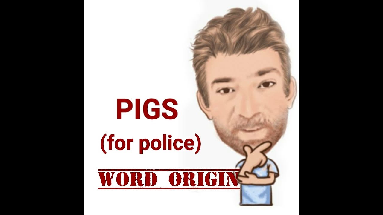 Why Are Police Sometimes Called Pigs Pig Word Origin 403 English why-are-police-sometimes-called-pigs-pig-word-origin-403-english