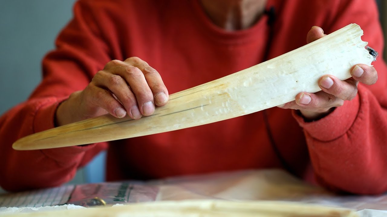 Sculpting Ivory (7 of 17): Materials - Walrus Tusk (Ivory) - YouTube