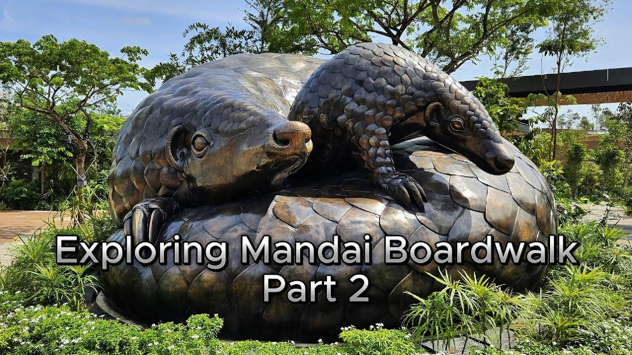 Mandai Boardwalk | A Walking Tour: 3.3km of Charming Nature & Wonders ...