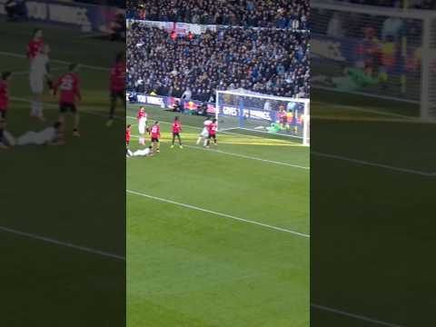 INCREDIBLE Dive By Senne! 🤿😲