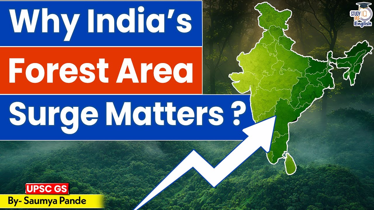 India’s Forest Cover Ranking Rises? India’s Forest Area Surge Explained ...