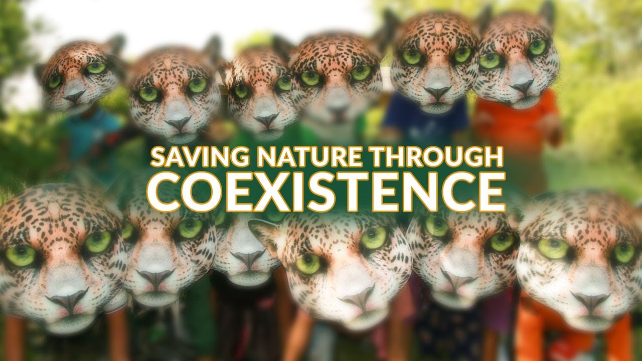 Saving Nature Through Coexistence | A drama by Hattisar class of the ...