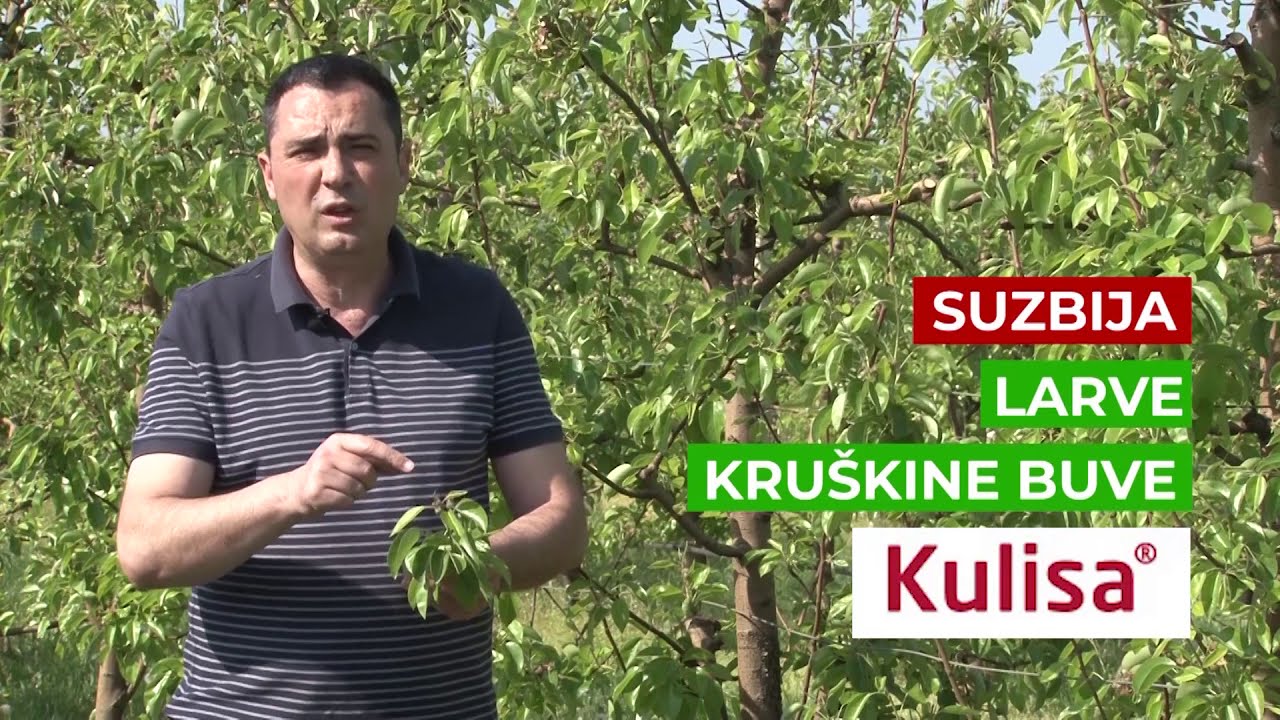 Zastita jabuke od cadjave krastavosti, Galenika Fitofarmacija - U nasem ...