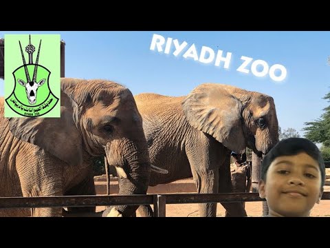 Riyadh Zoo || Animal Park Riyadh || Riyadh tourist Place - YouTube