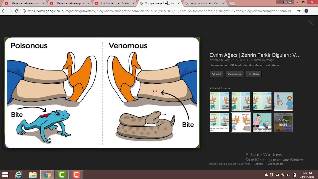 Difference Between Venom And Poison In Hindi YouTube difference-between-venom-and-poison-in-hindi-youtube