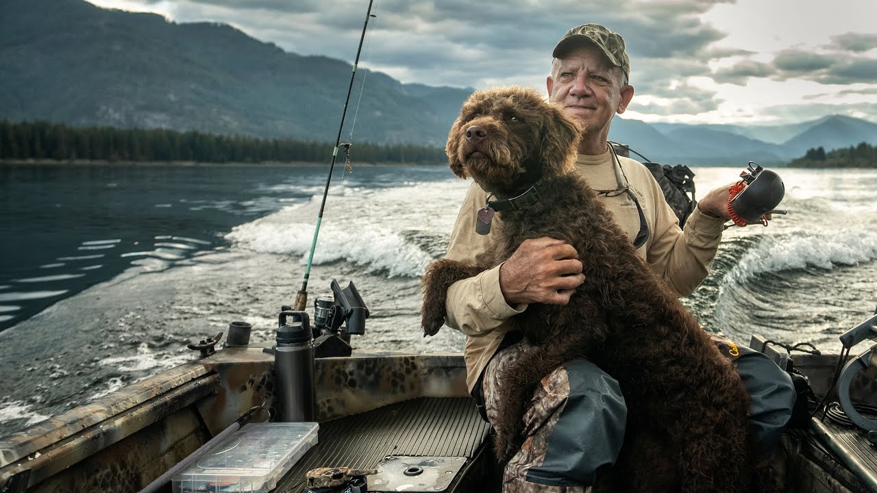 Meet the American Retriever | American Hunting Doodle Highlight Series ...