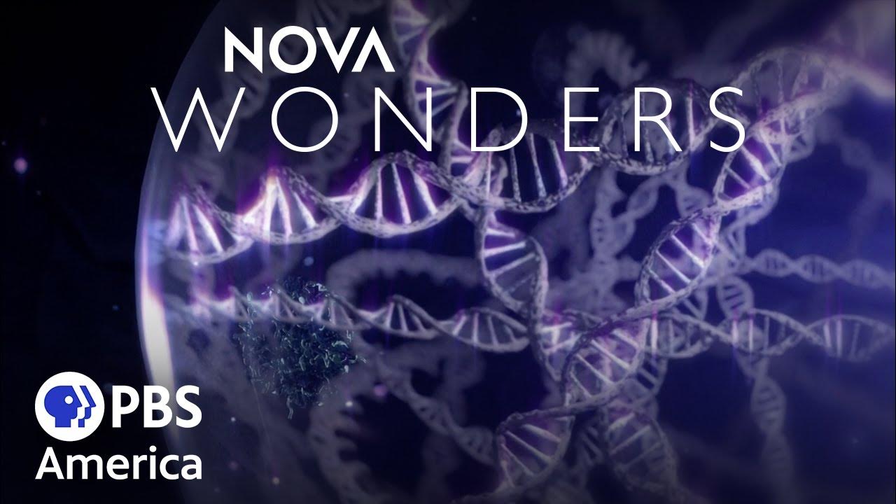 Can We Make Life? FULL EPISODE | NOVA Wonders | PBS America - YouTube