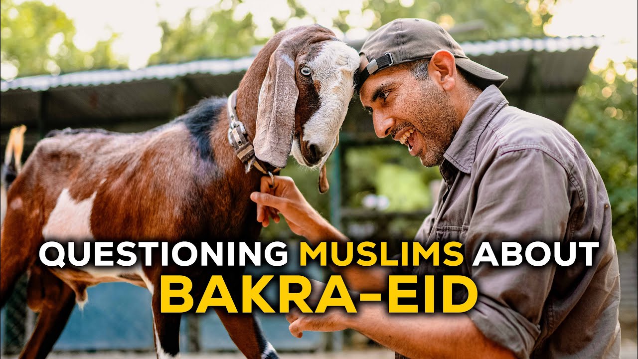 Islam, Bakra-Eid, aur Qurbani | Interviewing Practising Muslims - YouTube
