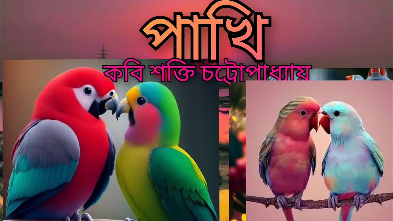পাখি/শক্তি চট্টোপাধ্যায়/বাংলা কবিতা আবৃত্তি/bangla kobita abritti ...