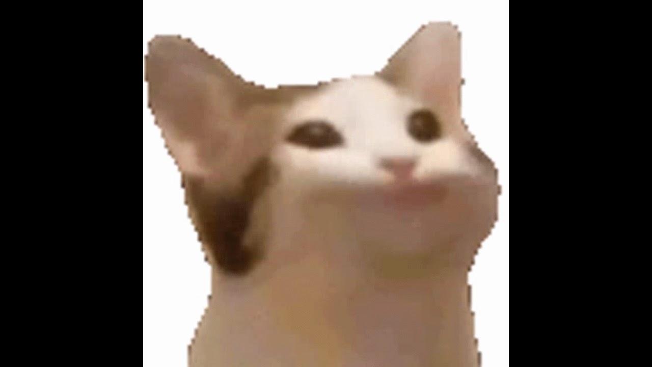 mr.popcat Live Stream - YouTube