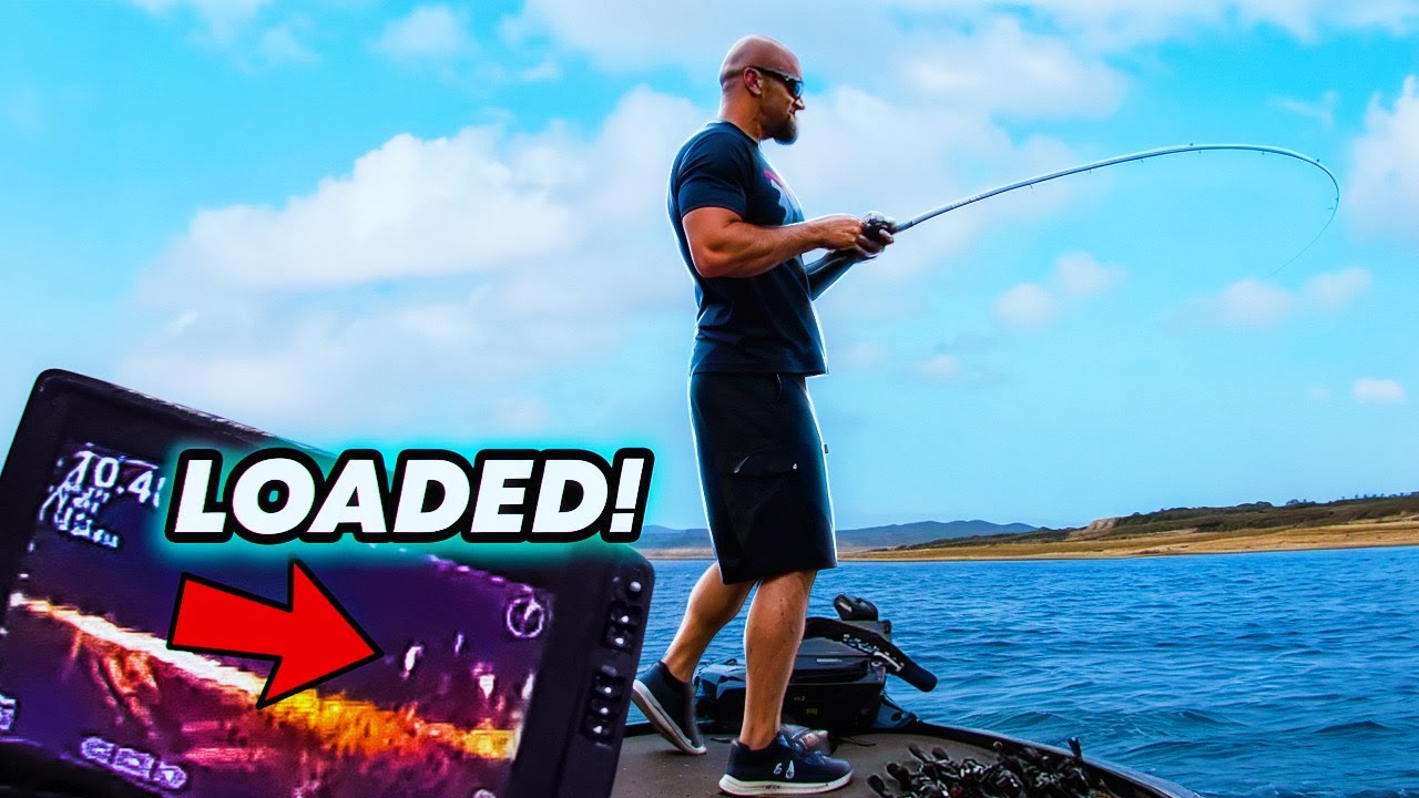 More PROOF LiveScope is CHEATING!... Hook Set, Boat Flip, Repeat x1000 ...
