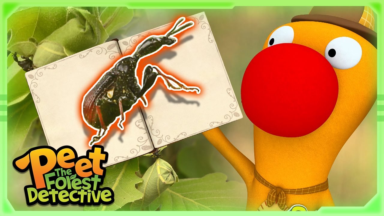 Mysterious Leaf Rolls in Forest! 🐸🦎 | Full Episode | Cartoons for Kids ...