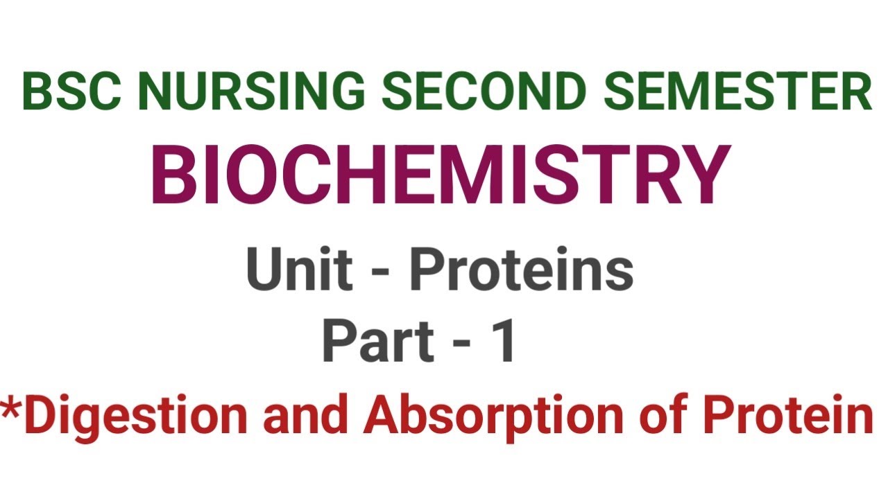 Proteins in Biochemistry| BSC NURSING SECOND SEM - YouTube