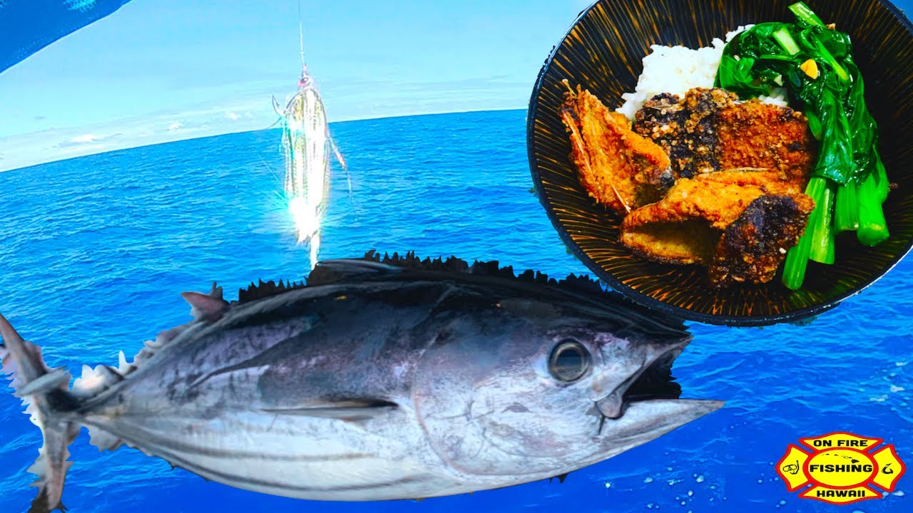 Catching AKU SKIPJACK TUNA for Dinner, with my Secret Magic Aku Lures ...