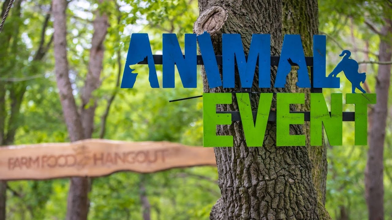 ANIMAL EVENT 2022 - RECAP DAY 1 - YouTube