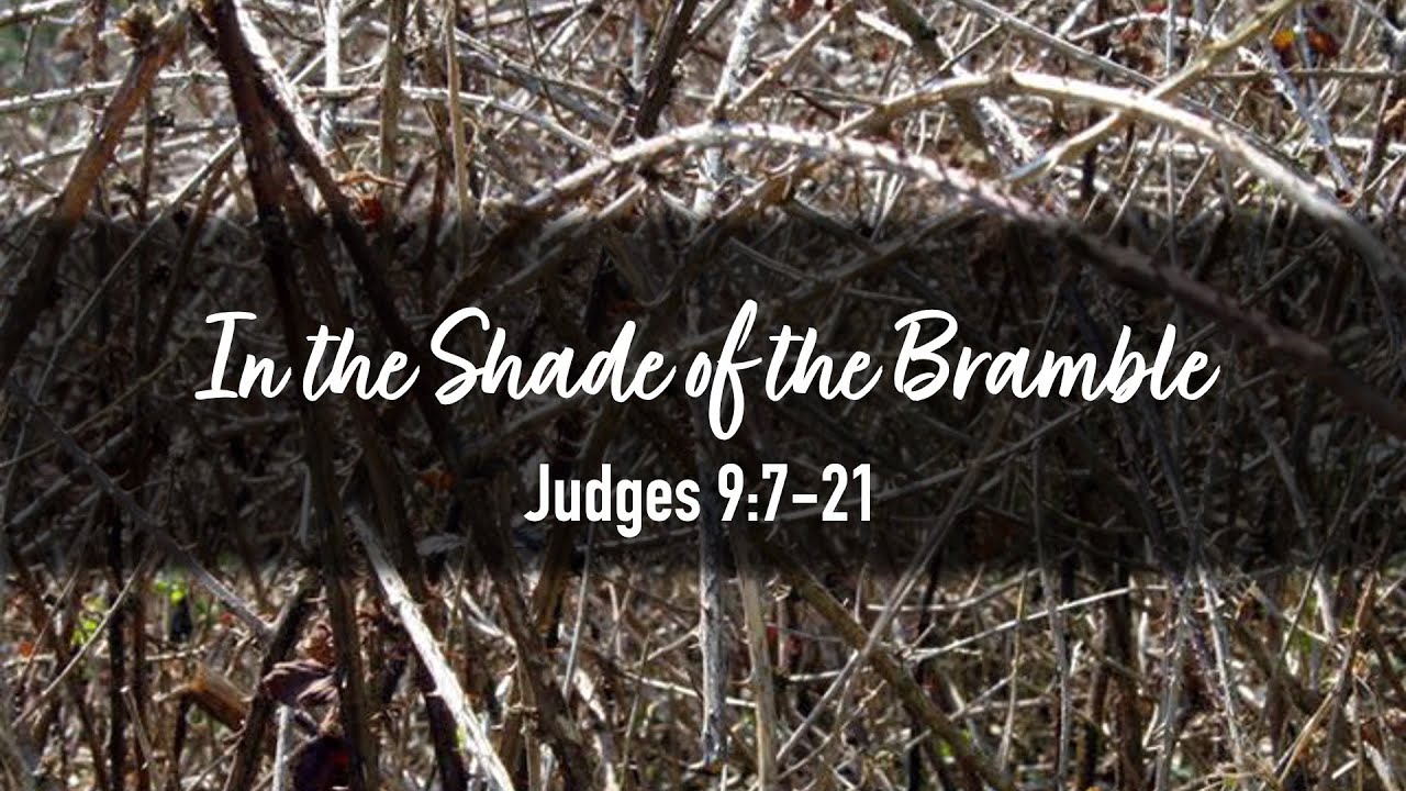 "In the Shade of the Bramble" - Mike Stone, Senior Pastor - YouTube