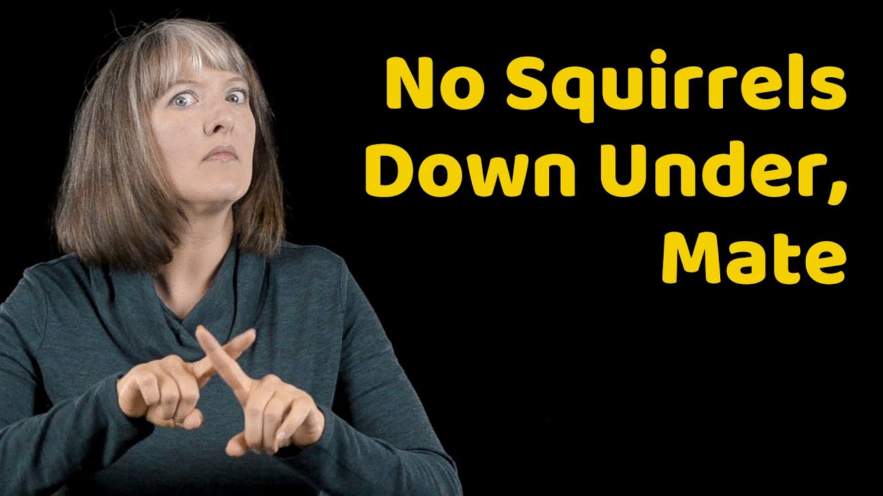 How to Sign Squirrel, Australia, World and Other Curious Words - YouTube
