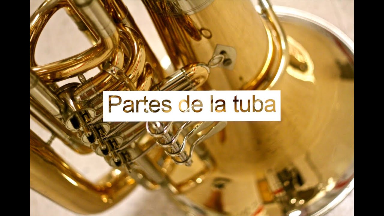 Partes de la tuba - David Osorio - YouTube