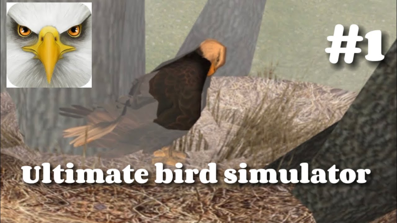 Ultimate bird simulator 🦅: building our very own first ever nest! #1 ...