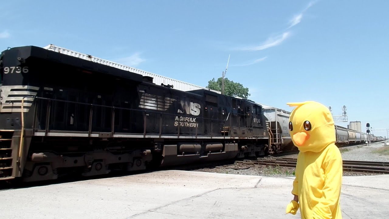 Train Race Gets Duck Excited - YouTube