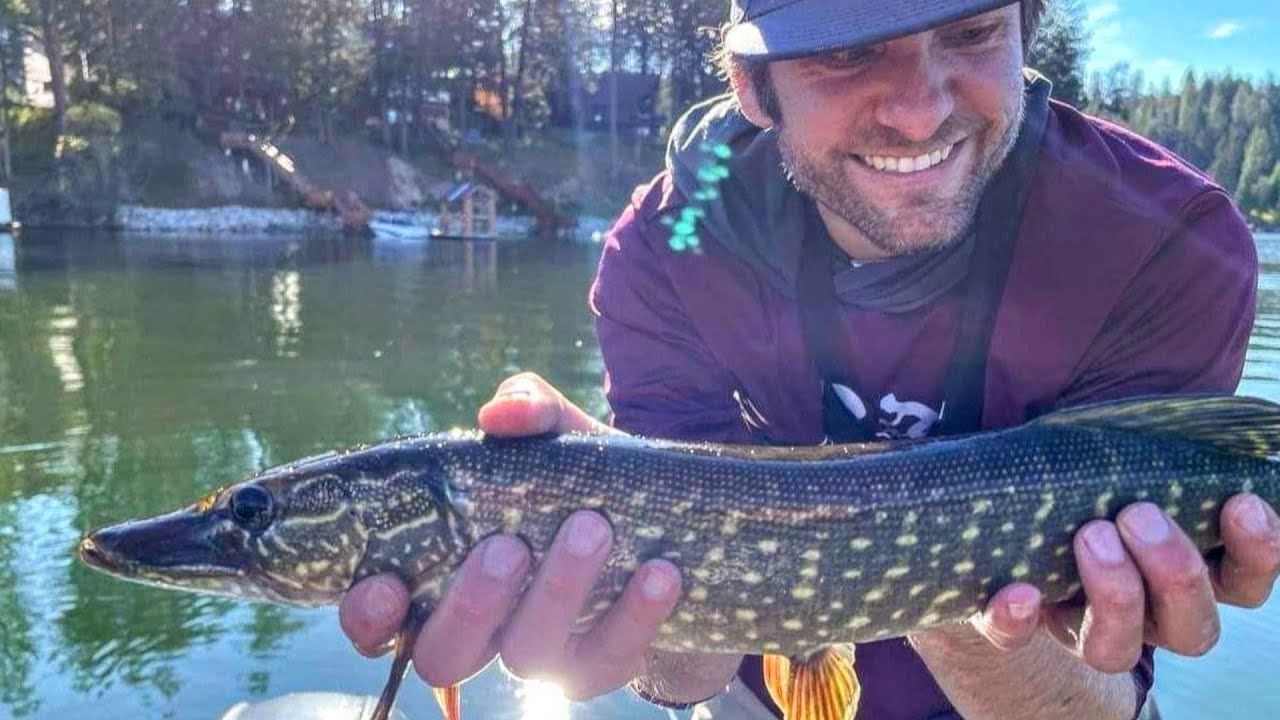 EXCITING Spring Pike, Bass & Bluegill! (FLY FISHING amazing lake with ...