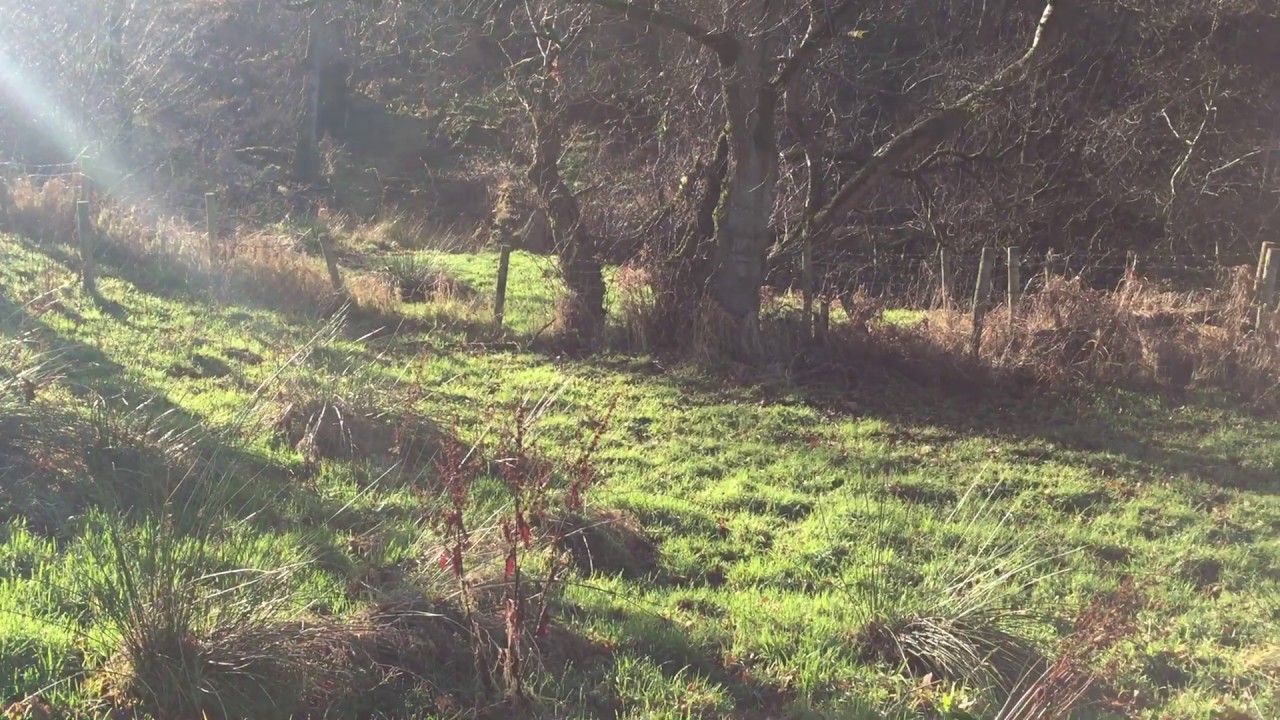 Exploring the route of the Stanegate Roman road - YouTube