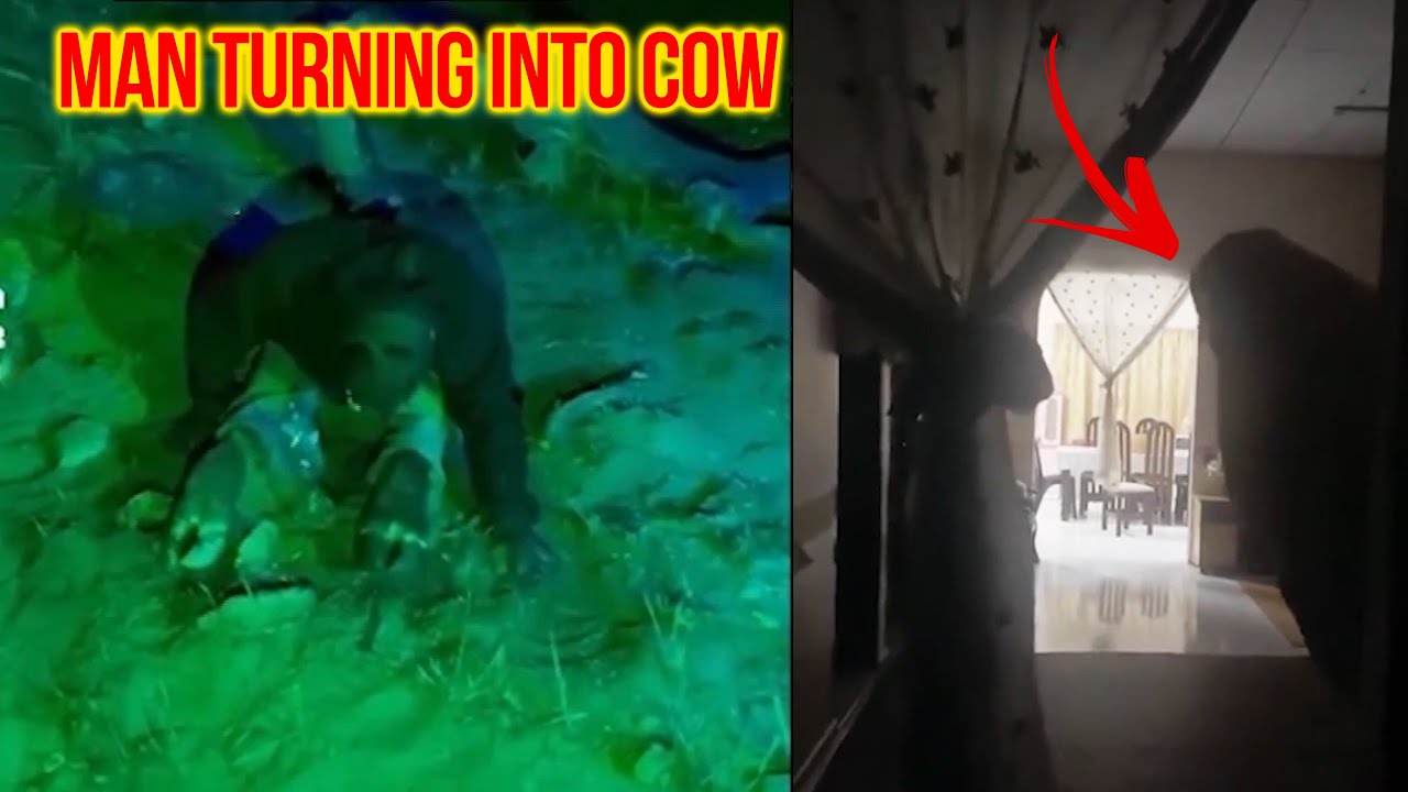 MAN TURNING INTO A COW BECAUSE A WITCH CURSED HIM - YouTube