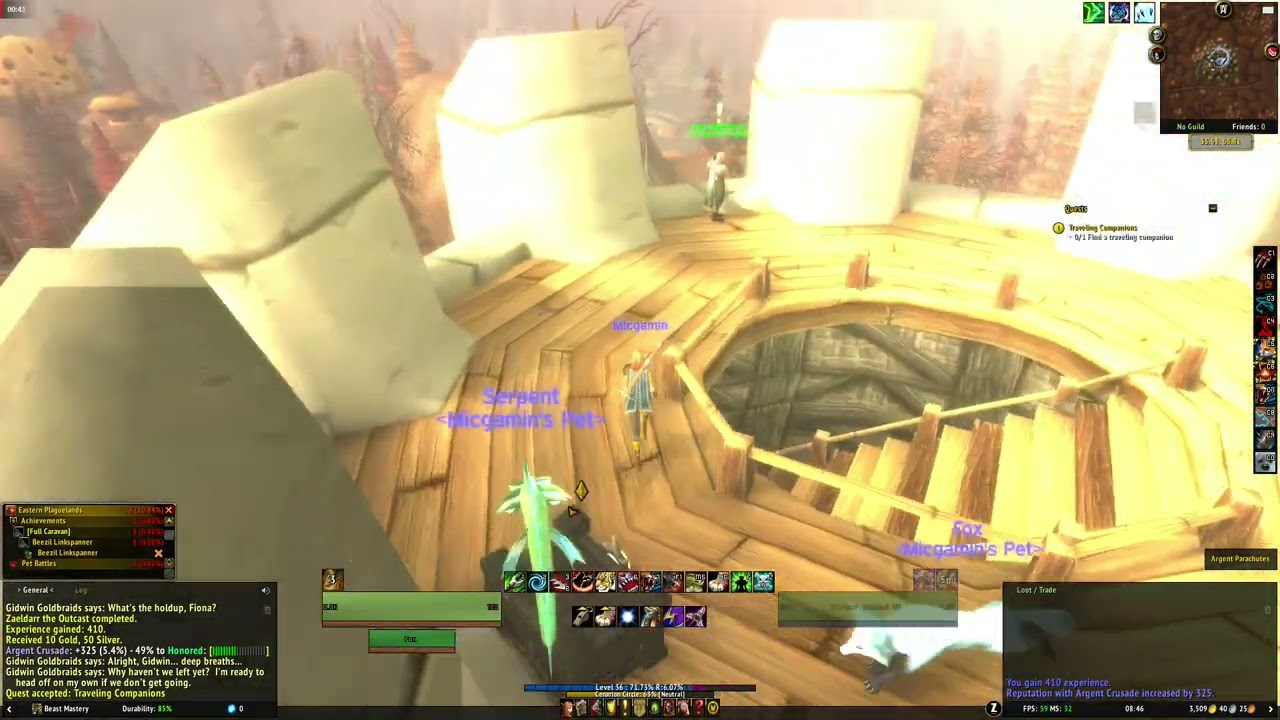 Traveling Companions WoW MMORPG Quest Guide - YouTube