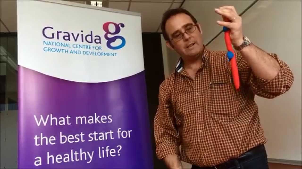 Justin O'Sullivan explains the ‘folding’ of DNA inside a cell nucleus ...