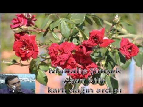 Muttalip Şimşek - Aşan bilir karlı dağın ardını