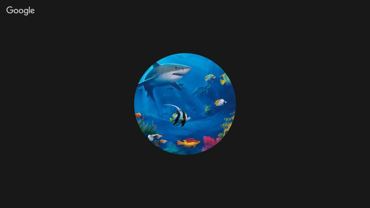 Fish Aquarium Fish Tank freshwater Aquarium Tropical Fresh Water fish-aquarium-fish-tank-freshwater-aquarium-tropical-fresh-water