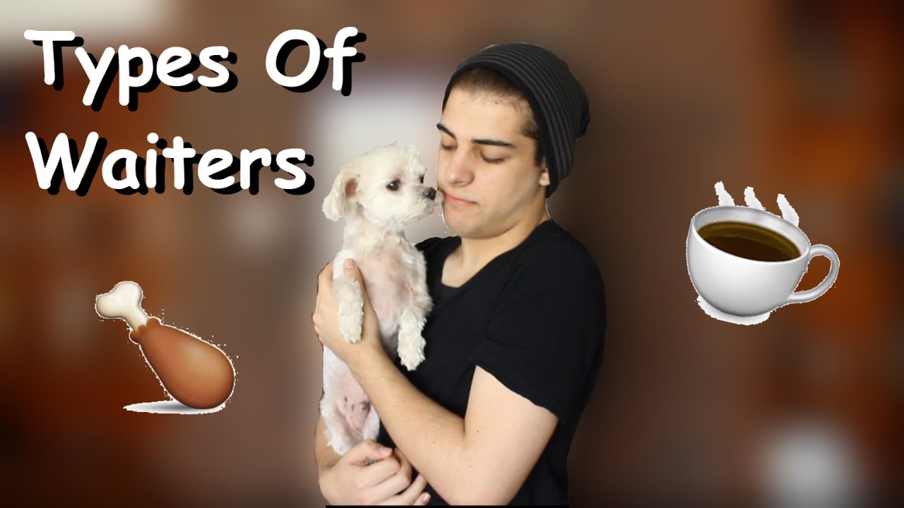 TYPES OF WAITERS!! - YouTube