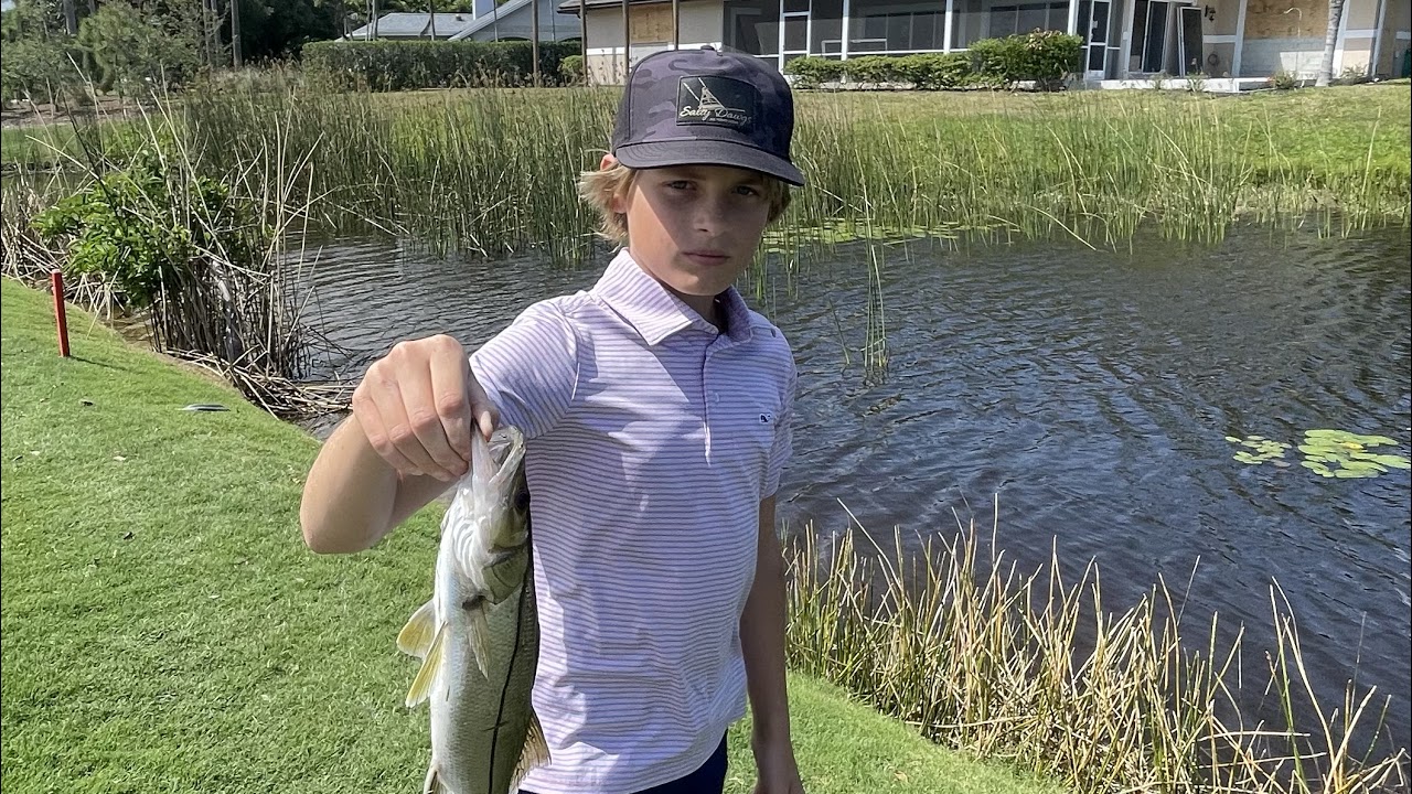 Brooks_fishing Live Stream - YouTube