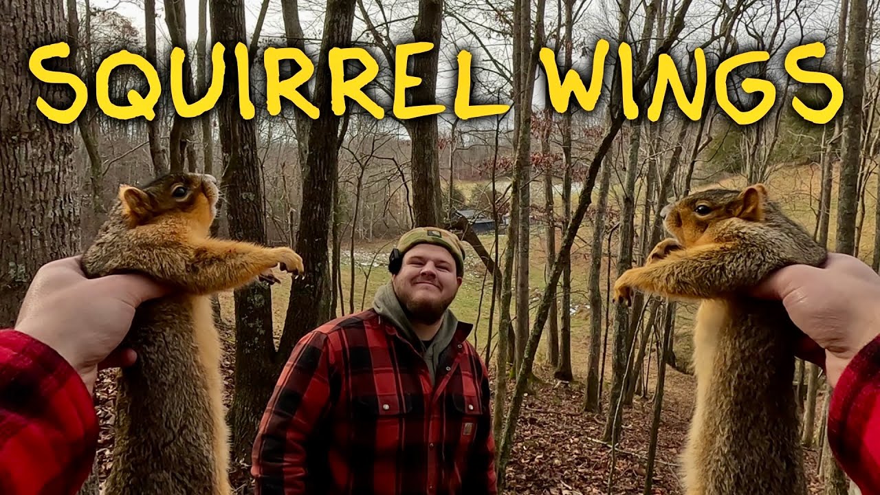 Squirrel Hunting and Making Squirrel Wings - YouTube