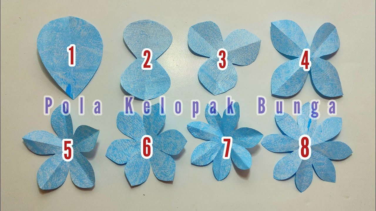 Pola Kelopak bunga 1-8 || Pattern Petals 1-8 - YouTube