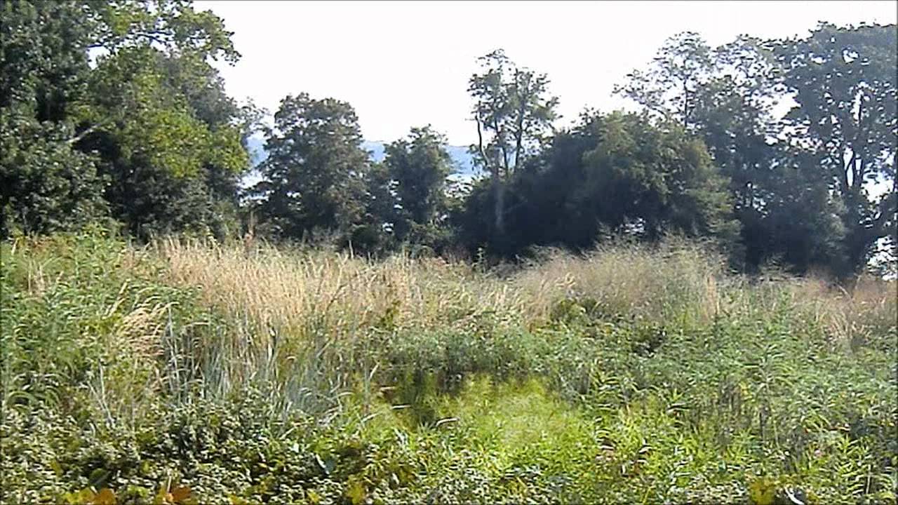 River Farm, American Horticultural Society, Alexandria, Virginia - YouTube