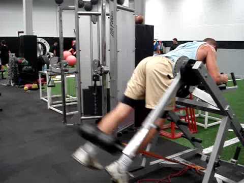 Banded Reverse Hypers, F.O.R.C.E. Performance Training, Ho-Ho-Kus, NJ ...