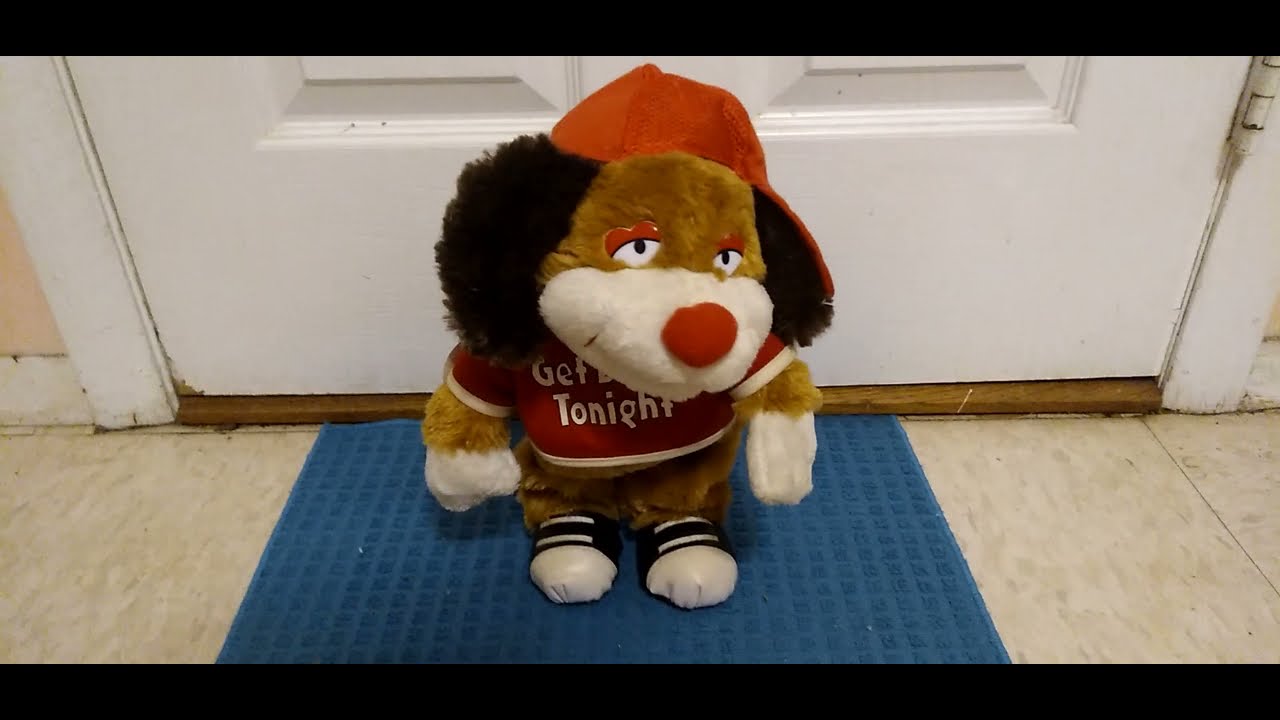 Dan Dee Singing Dancing Hip Hop Valentine's Day Dog - "Get Down Tonight ...